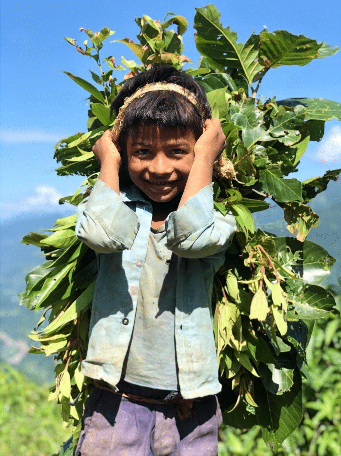 USHA JAPANでの取り組み | 一般社団法人 USHA JAPAN